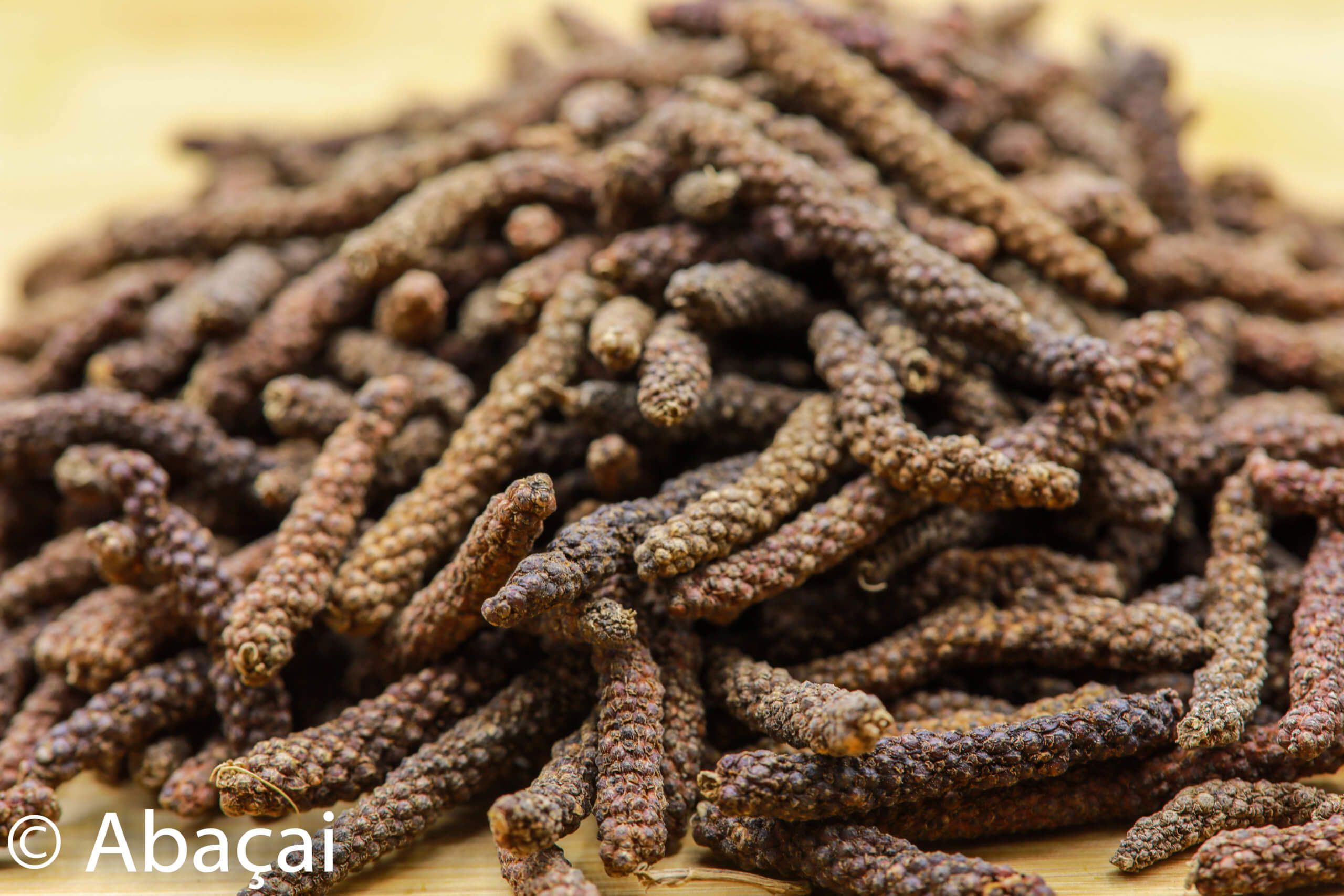 Poivre Long de Java - Achat, Conseils d'Utilisation et Recettes - Abaçai