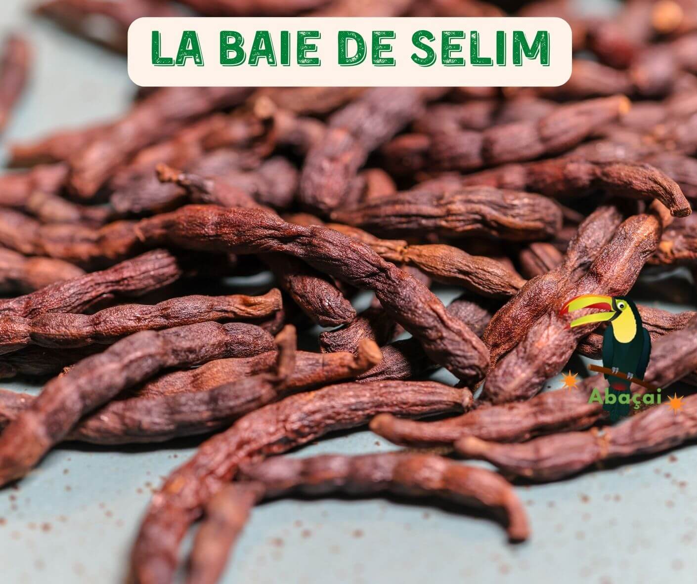 Tout savoir sur le curcuma en 2025 - Bienfaits et Utilisations - Abaçai