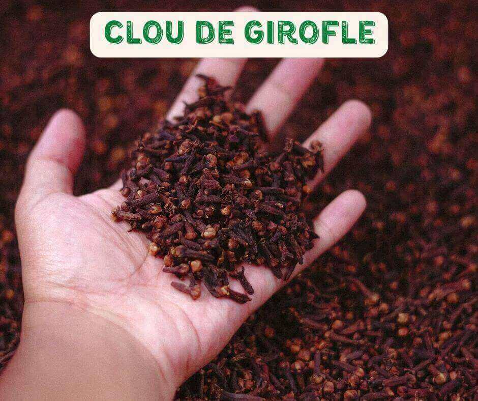 Clou de Girofle - Achat, Recettes et Conseils- Abaçai