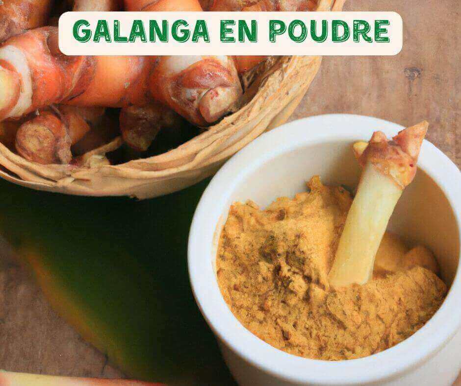 Galanga en Poudre - Achat, Recettes et Conseils - Abaçai